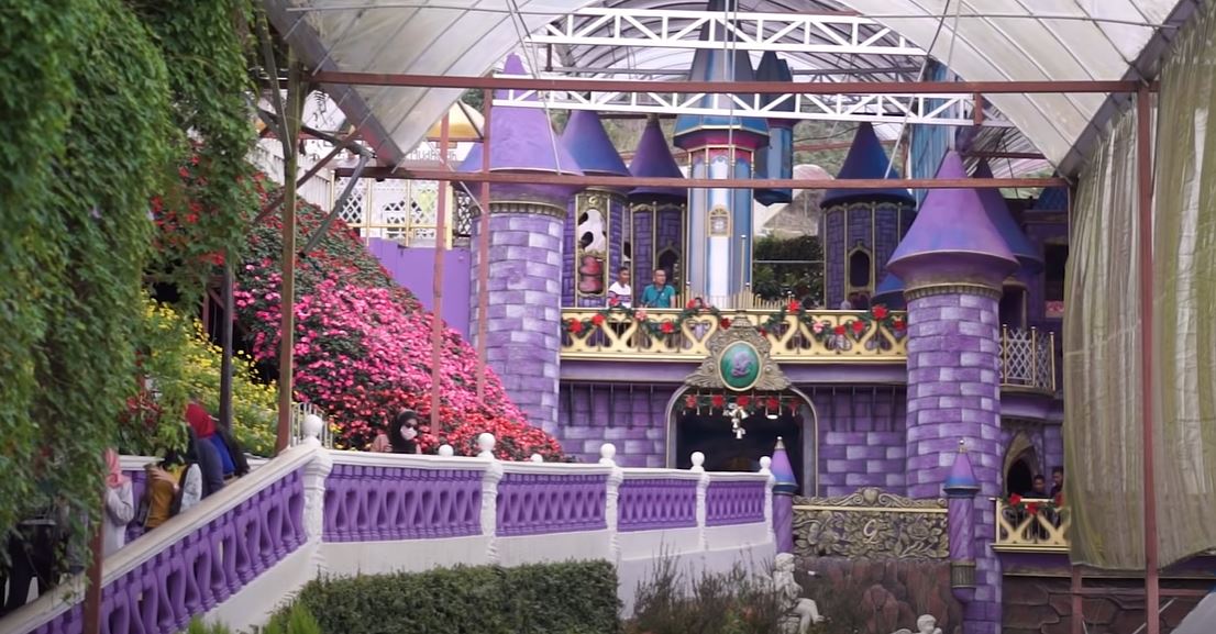 Cameron Lavender Garden, Tringkap | Cameron Highlands – Puri & Sue ...